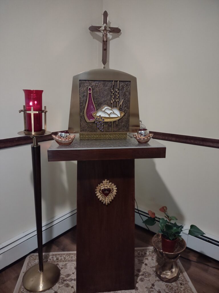Reflection for the 6th Sunday in Ordinary Time, 2023 | Sisters of Charity
